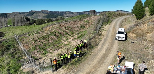 Tutira School dig in to protect endangered kakabeak