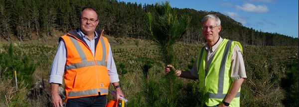 Forest nutrition expert | Rayonier Matariki Forests