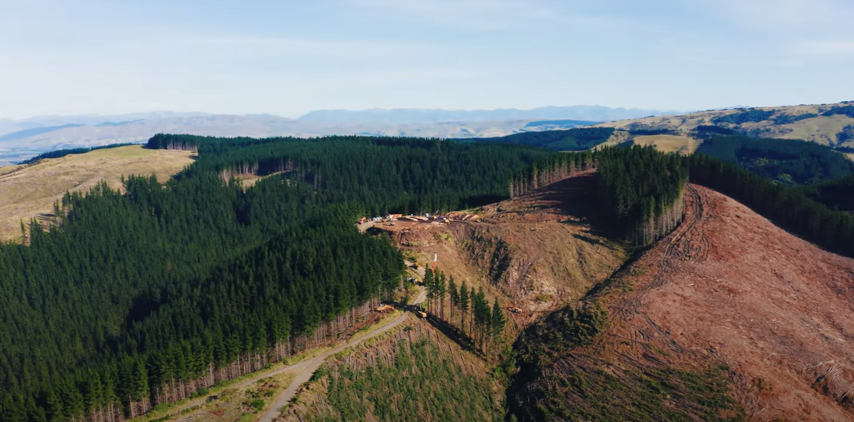 Enjoying our forests | Matariki Forests